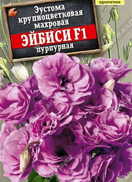 Эустома Эйбиси F1 пурпурная крупноцветковая махровая