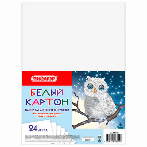 Картон белый А4 немелованный, 24 листа, в пленке, пифагор, 200х290 мм, "Совушка", 113565