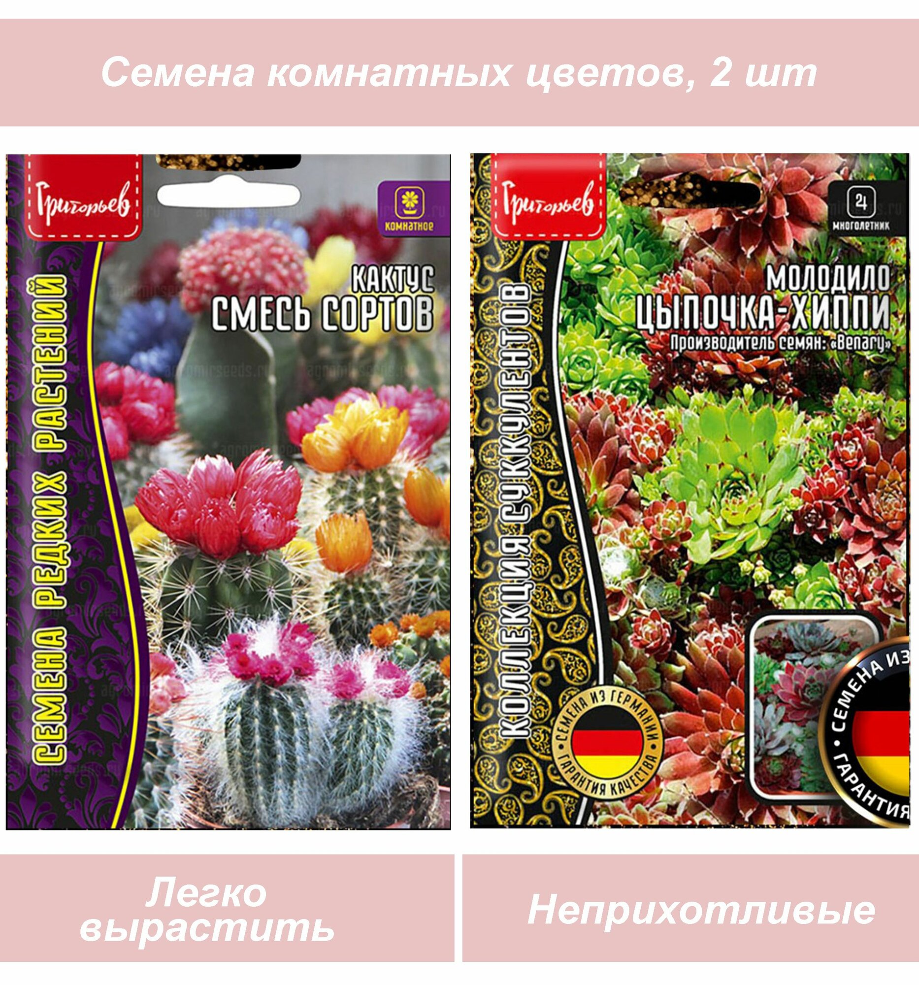Семена комнатные цветы Кактус и Молодило (Каменная роза)