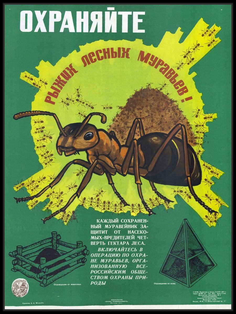 Плакаты СССР об экологии, природе, лесном фонде, лесхозе, лесном хозяйстве, лесниках, лестничестве; Антиквариат 1971 г; Декор настенный винтажный 44/60 см.
