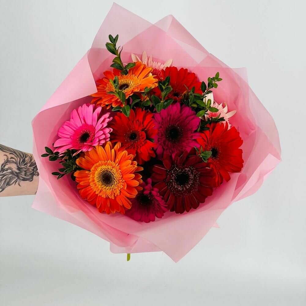 11 ярких гербер