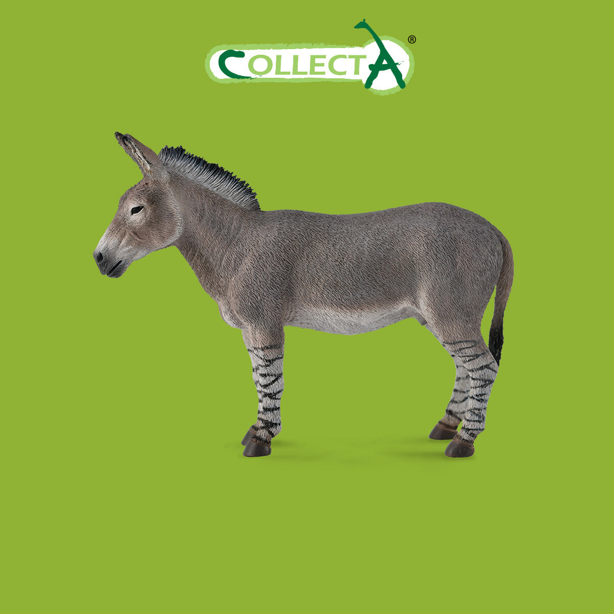 Фигурка Collecta Дикий африканский осел