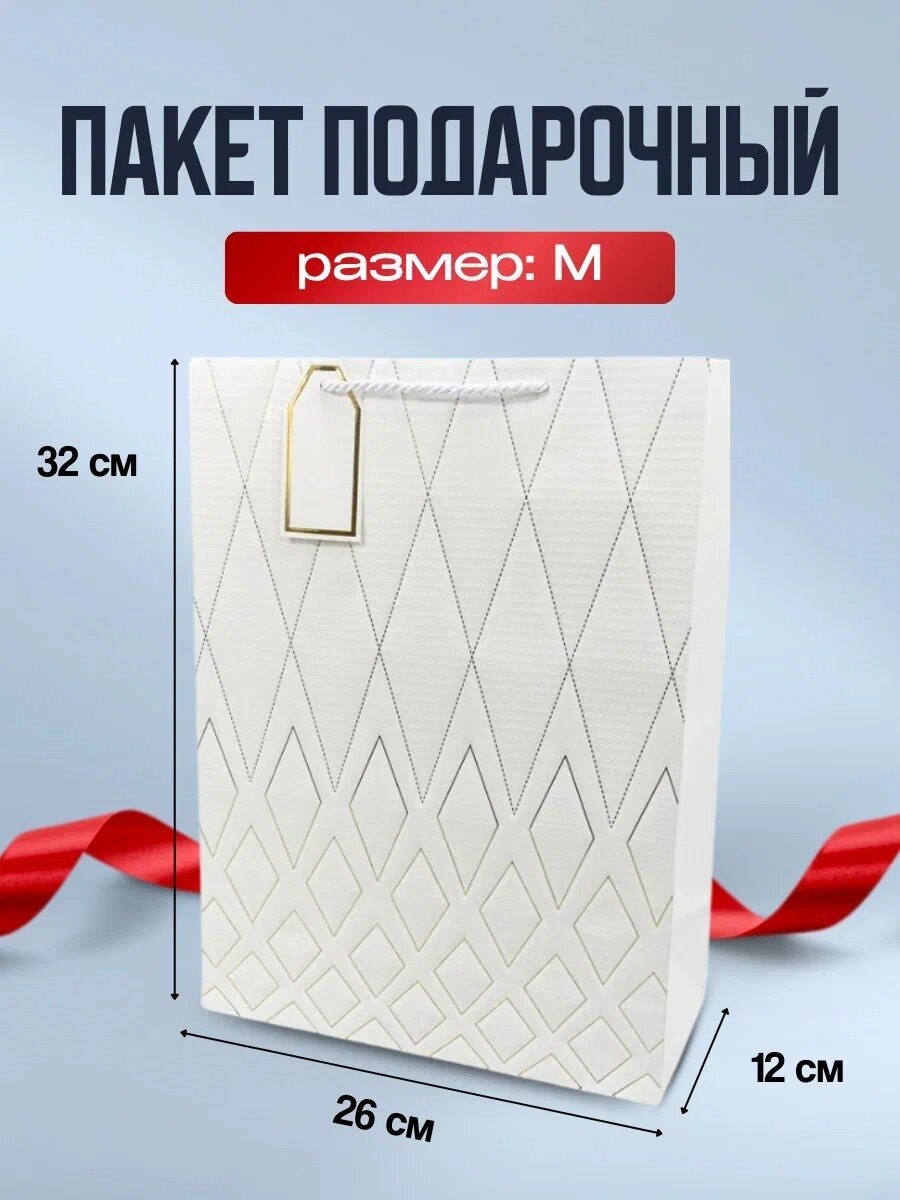 Пакет Подарочный 1 шт М 26 см х 32 см х 12см