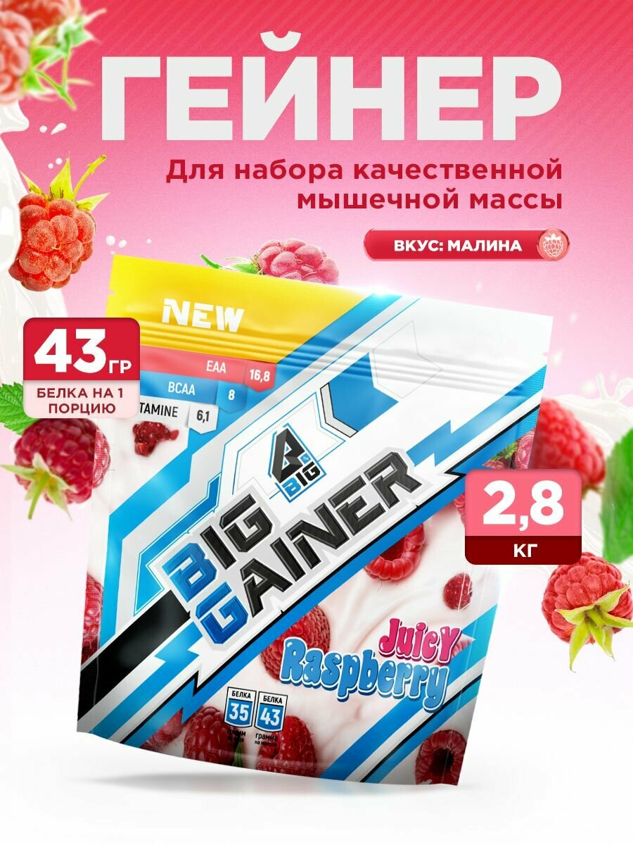Гейнер BIGSNT BIG GAINER 2.8 кг. для набора мышечной массы и веса, высокобелковый коктейль