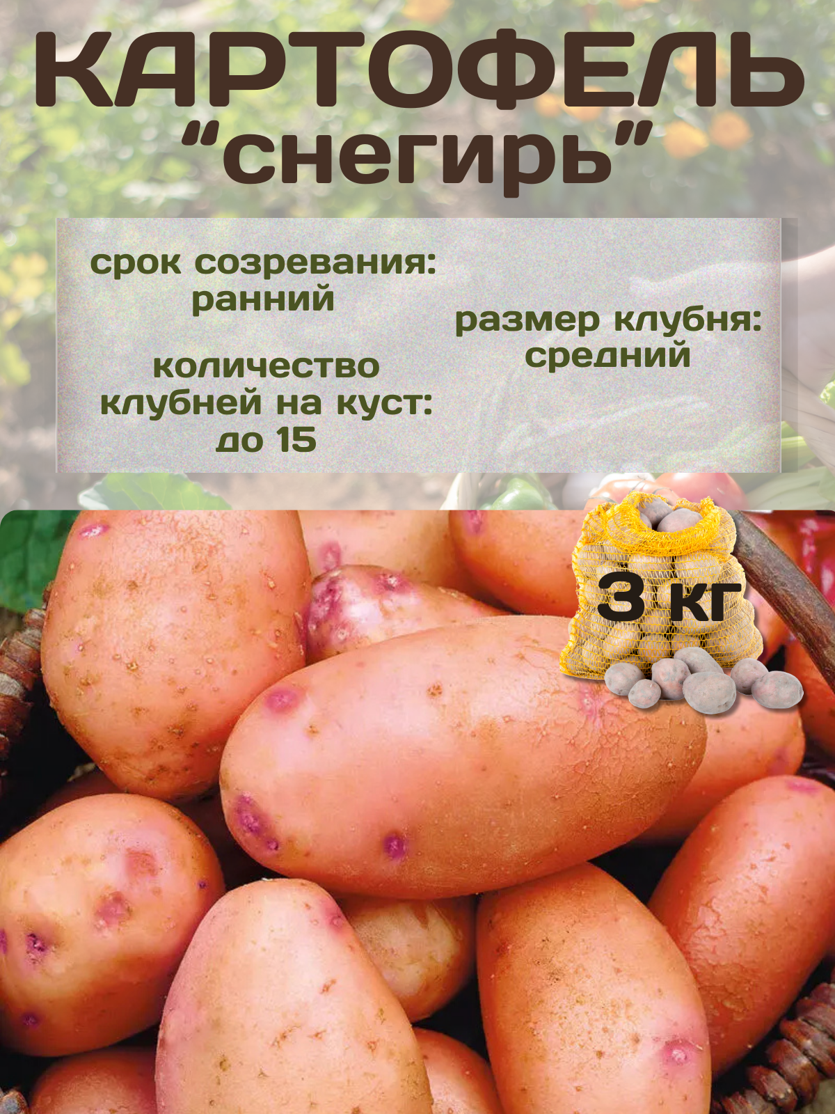 Картофель семенной Снегирь 3 кг, на посадку