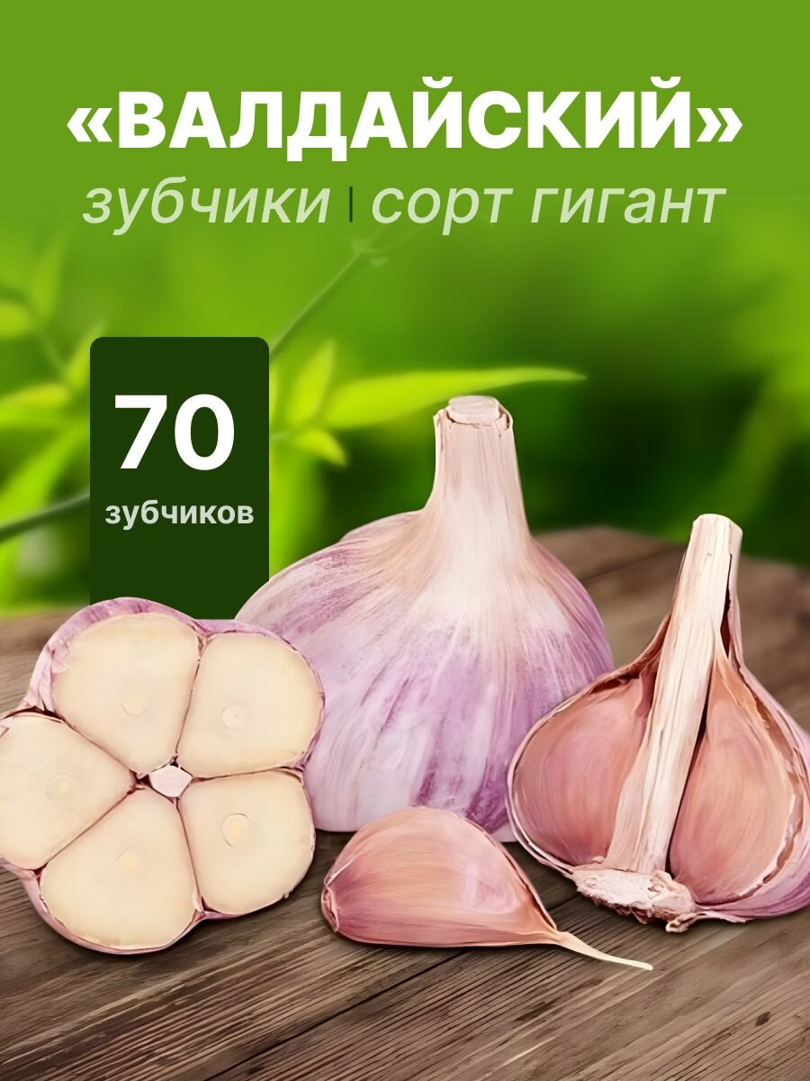 Зубчики чеснока на посадку "Валдайский" 70шт