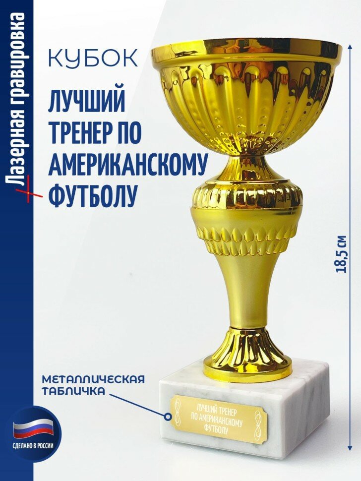 Кубок "Лучший тренер по американскому футболу" (18,4 см)