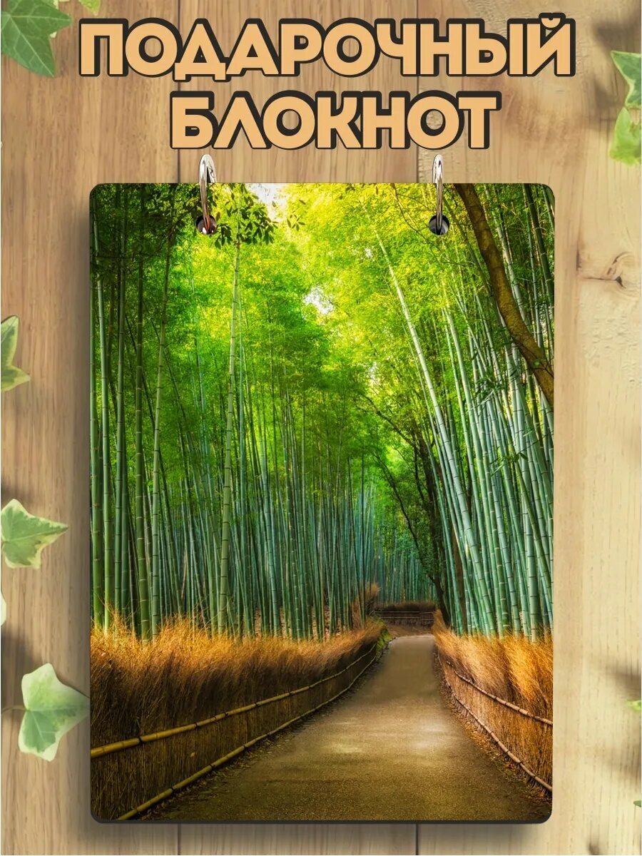 Подарочный блокнот "Бамбуковый лес, Япония"