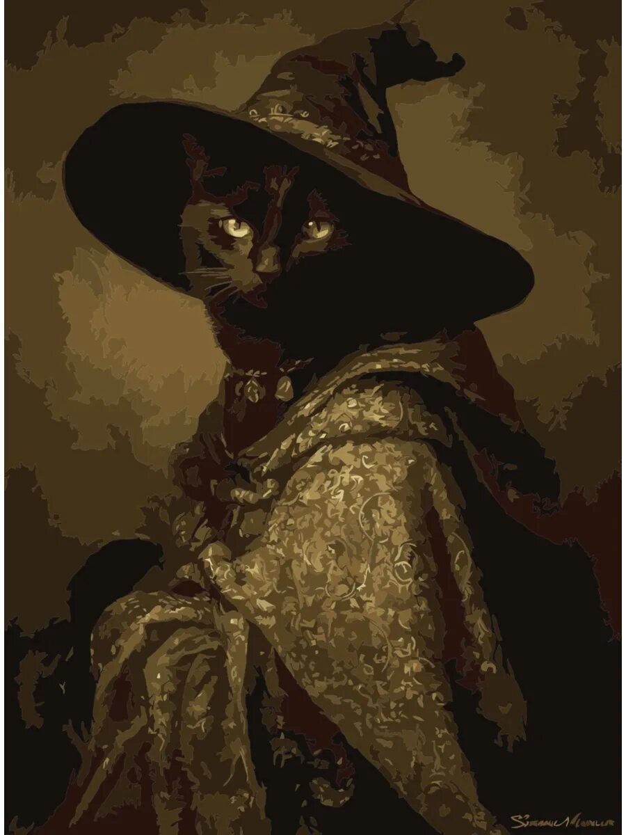 Картина по номерам 30x40 см кот ведьмак