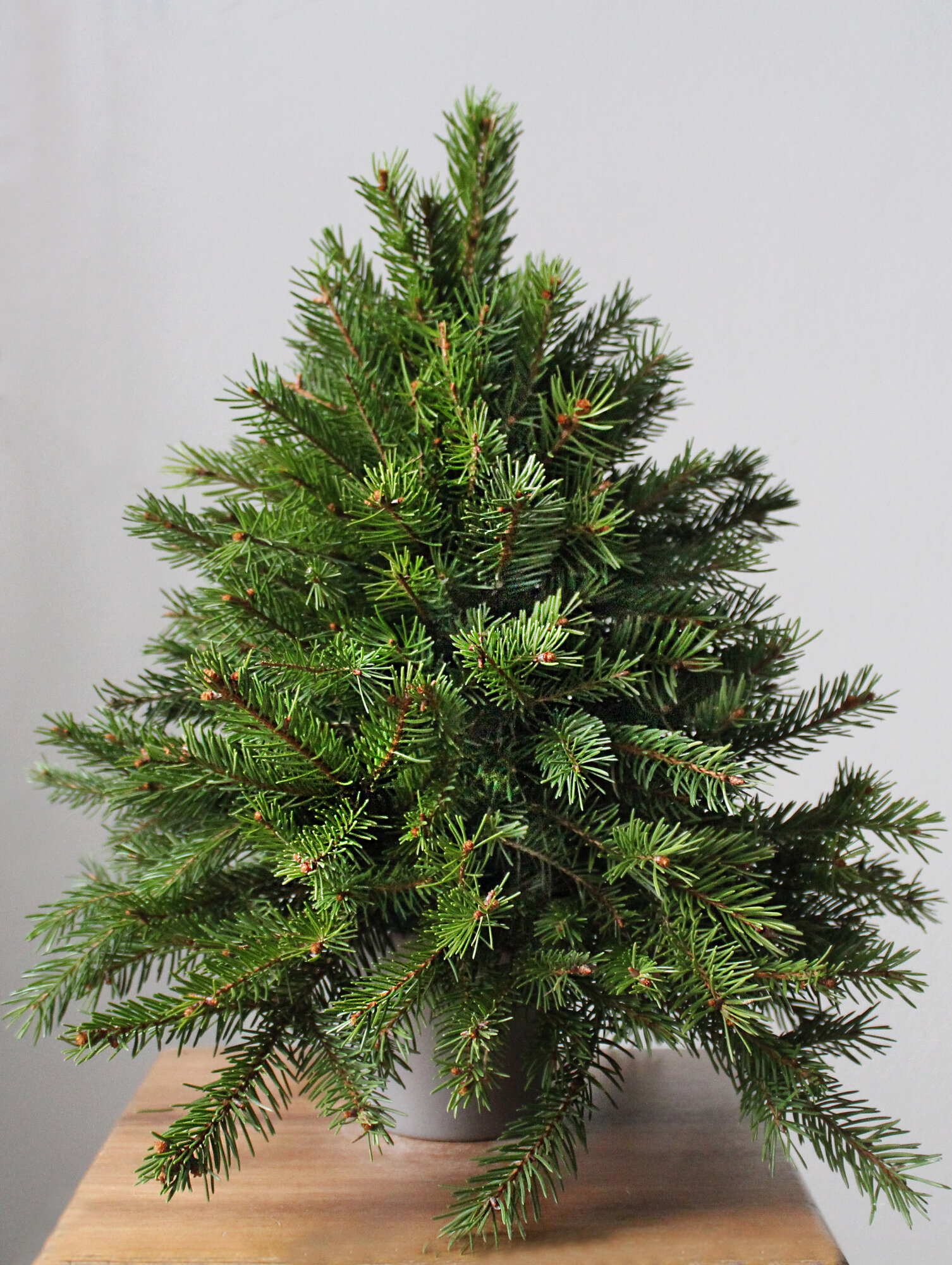 Ёлочка новогодняя "Живая хвоя" M, ароматные ветви русской ели, собрана на флористической губке