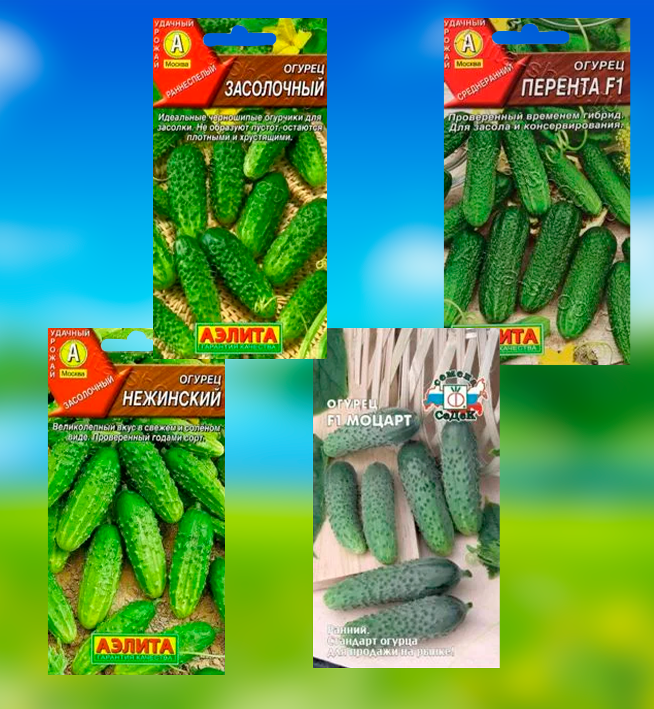 Набор семян Огурцов для засолки и консервации, Засолочный, Моцарт, Нежинский, Перента / 4 пачки