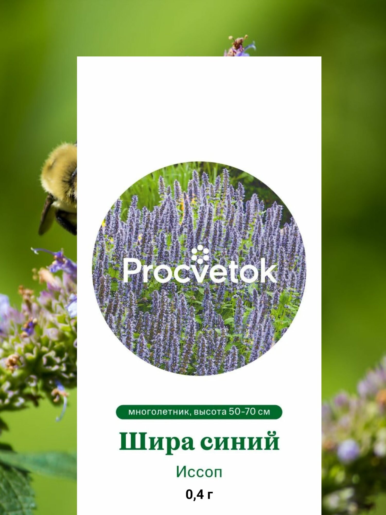 Семена Иссоп Шира синий 0,4г, Процветок