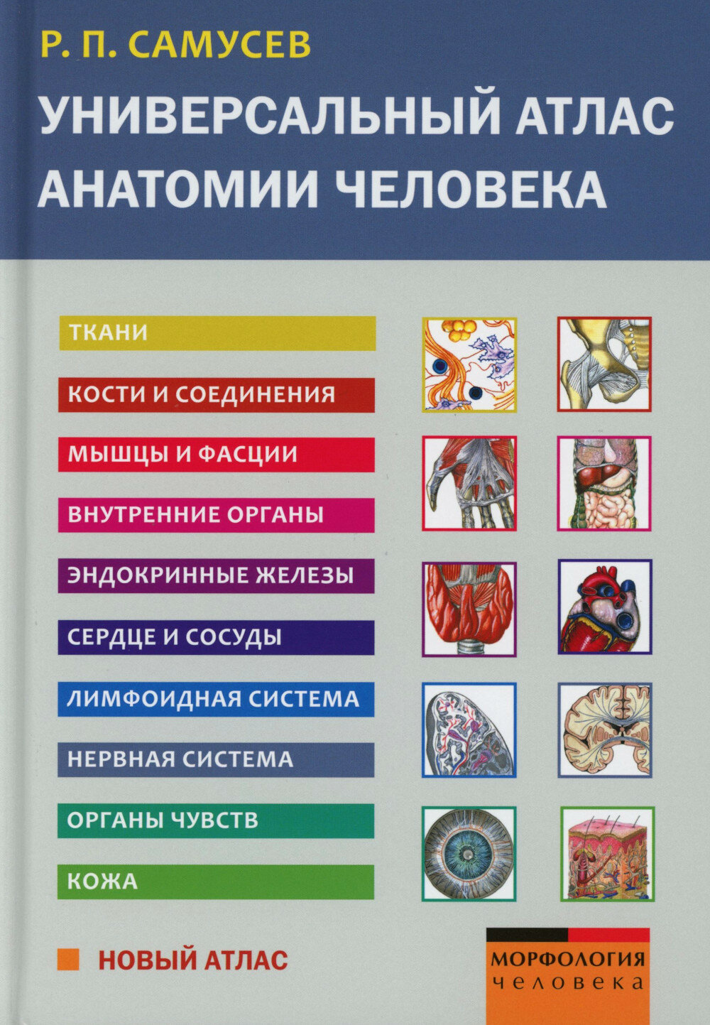 Универсальный атлас анатомии человека: Учебное пособие для студентов медицинских учебных заведений, Самусев Р. П, Мир и образование
