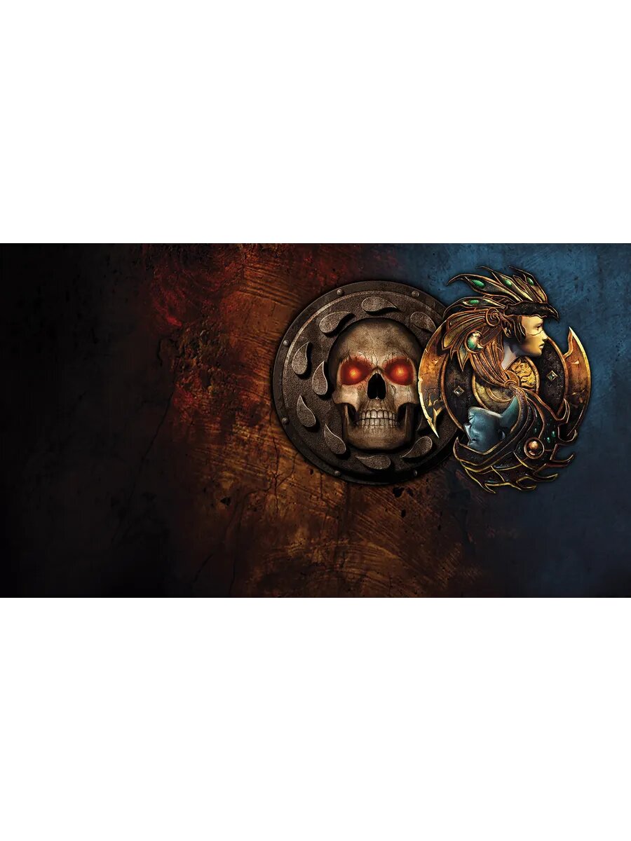 Baldur's Gate and Baldur's Gate II: Enhanced Editions PS4 &