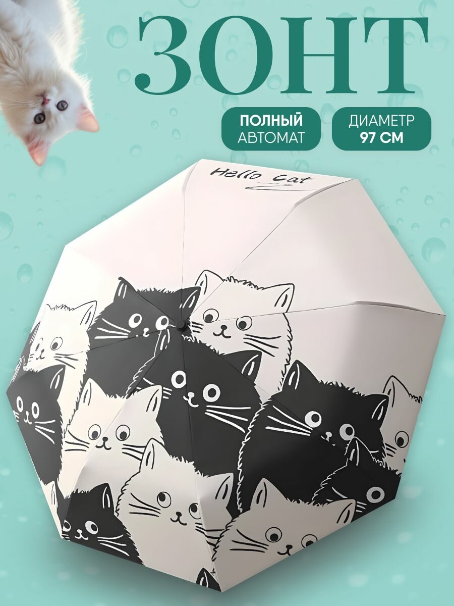 Зонт