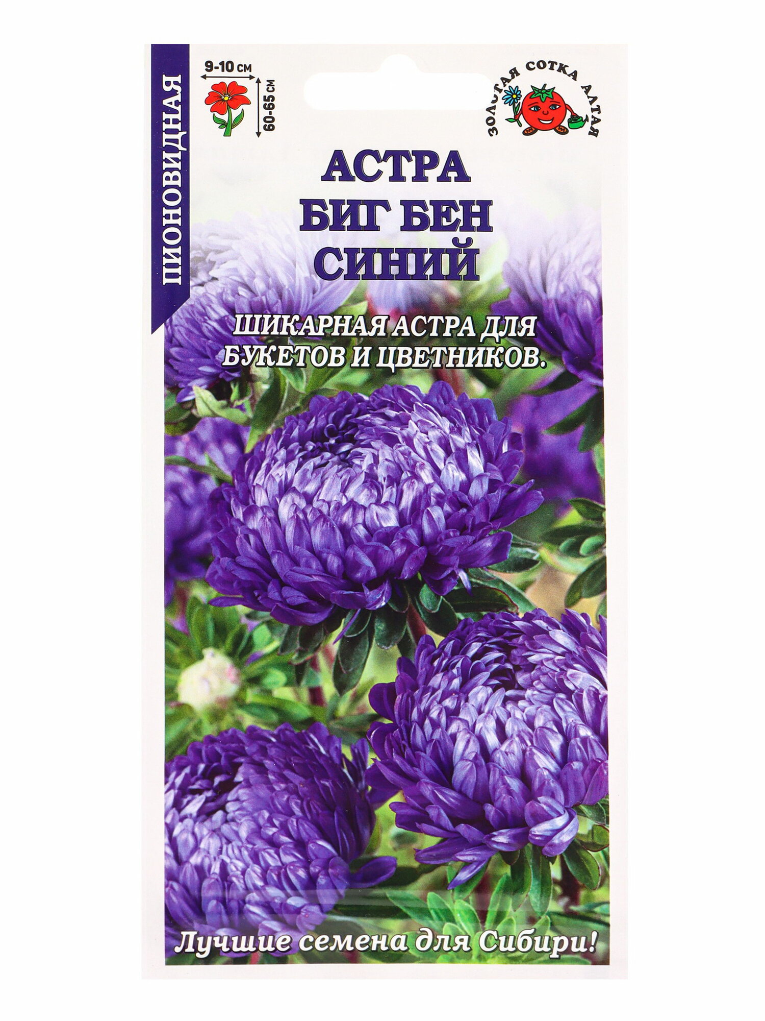 Семена Астра пионовидная "Биг Бен синий", 0.2 г, цветение период: август, 3 шт.