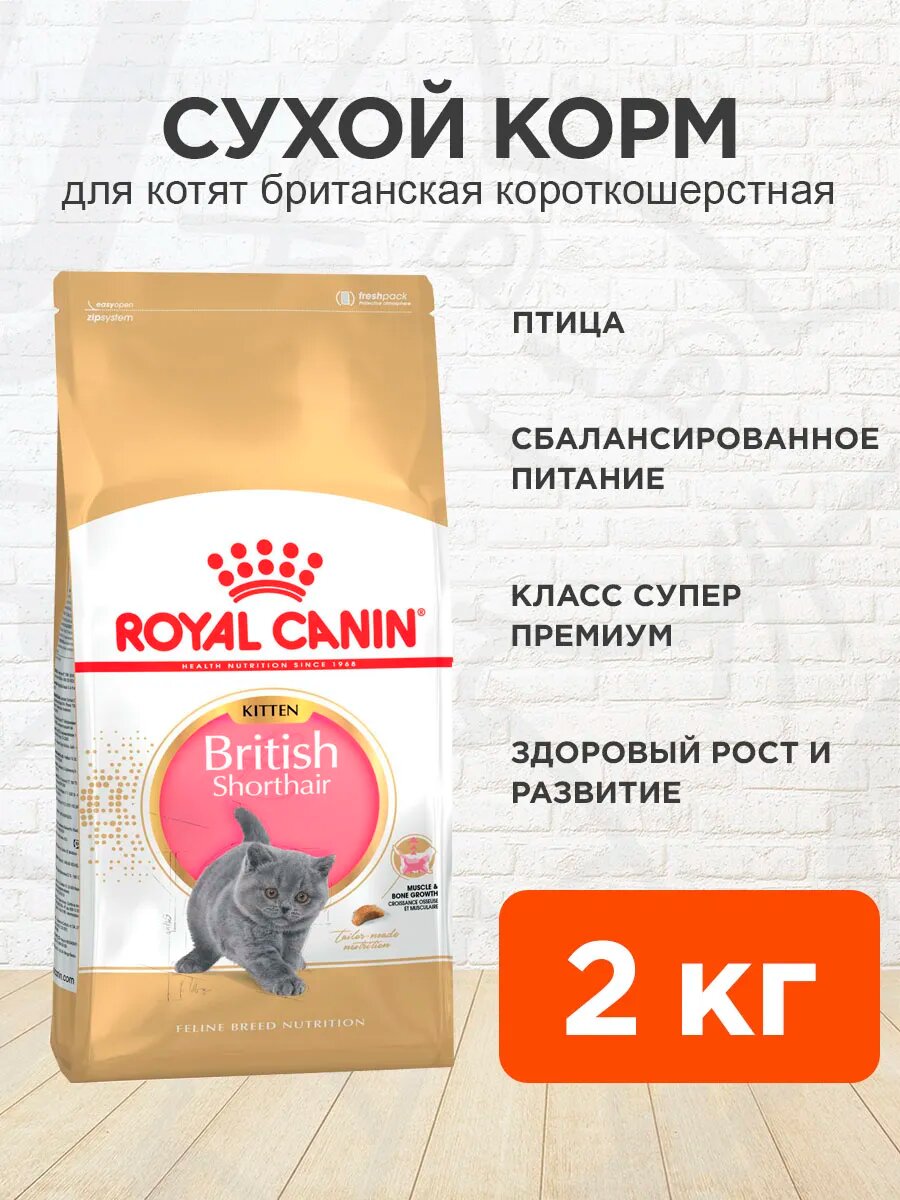 Корм сухой Royal Canin British Shorthair Kitten 34 для британских короткошерстных котят, 2 кг