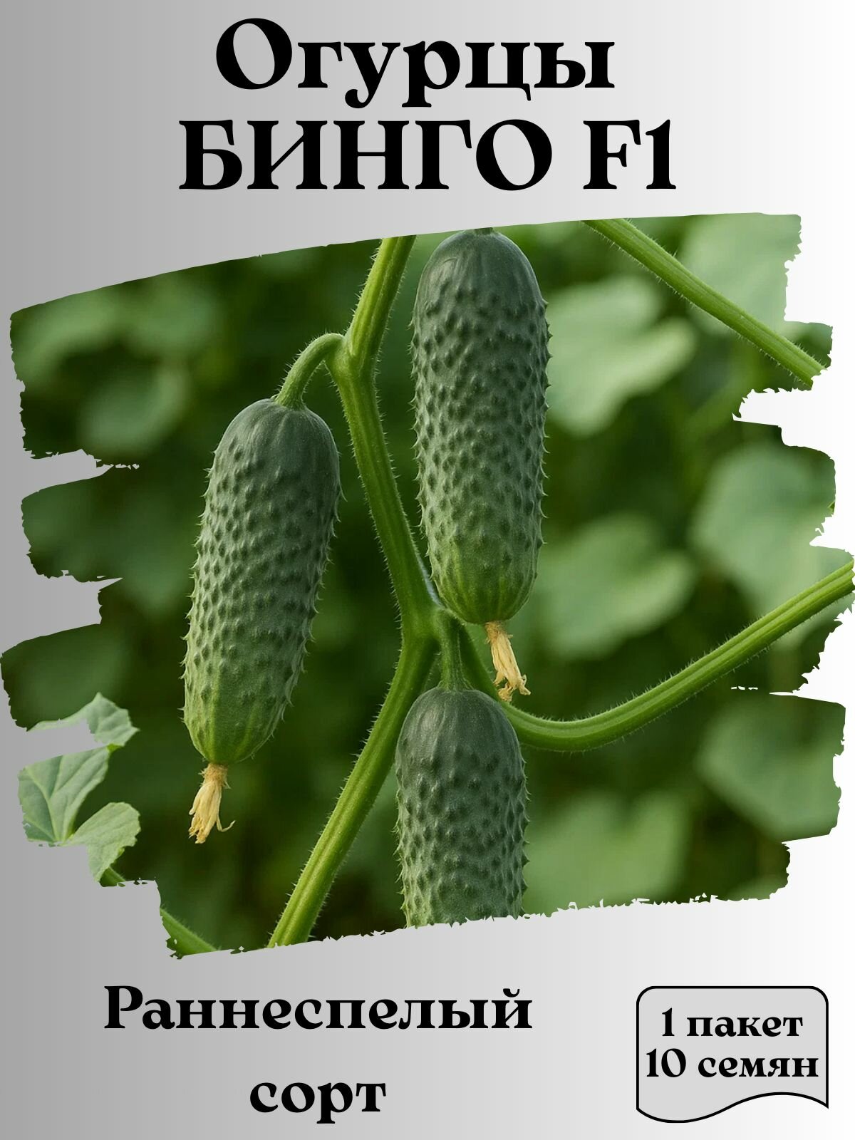 Огурцы бинго F1, семена, 10 шт, 15 гр.