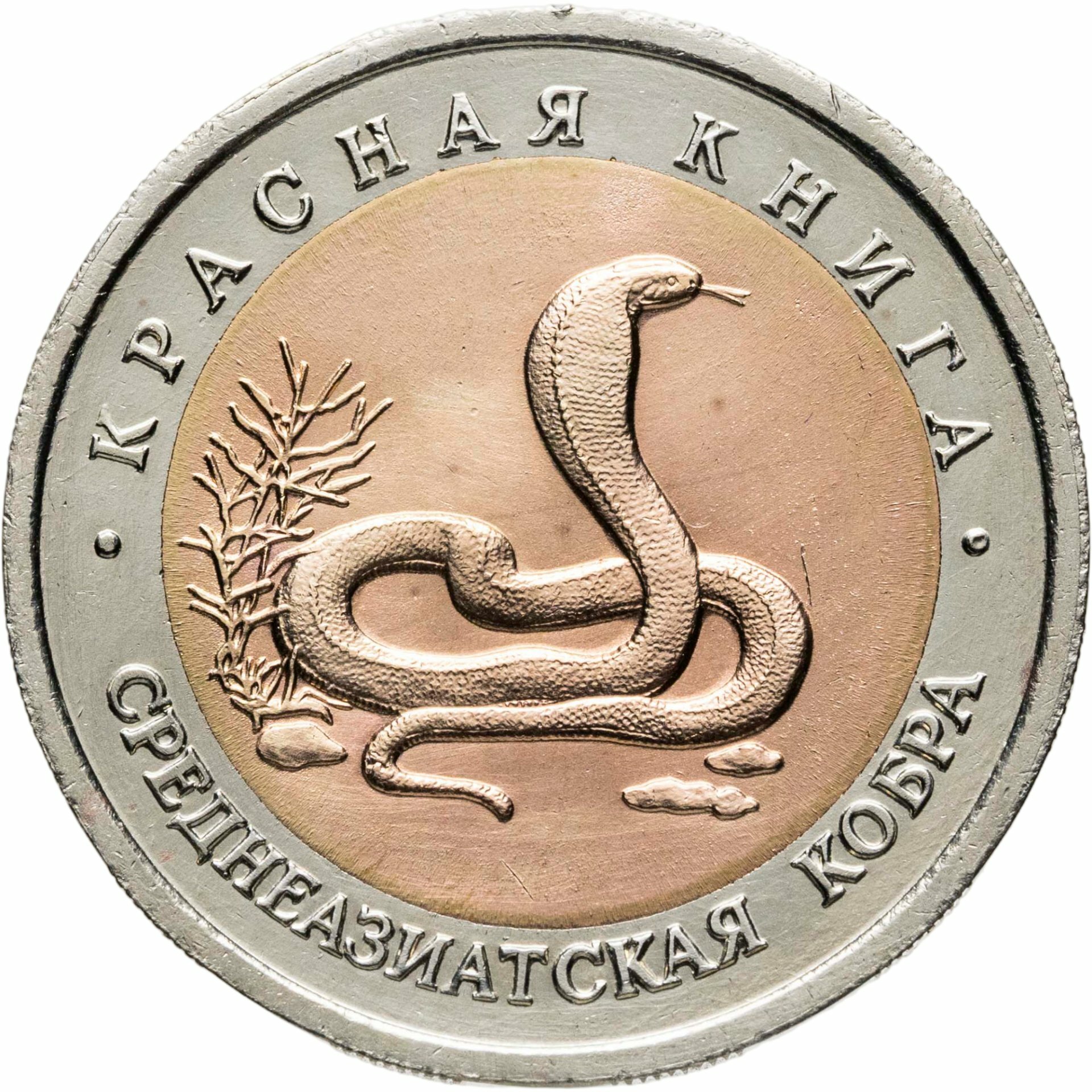 10 рублей 1992 ЛМД среднеазиатская кобра, Биметалл, в сохранности XF-AU