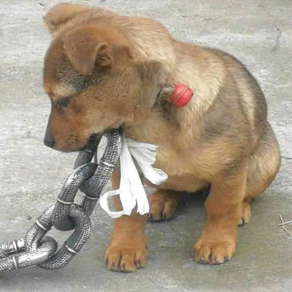 Большая железная цепь, забавные товары для домашних животных, подходит для маленьких собак, кошек и щенков