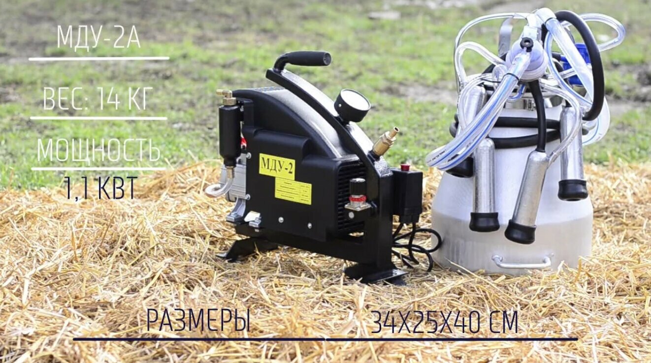 Доильная установка МДУ-2А для доения до 6 коров подряд.