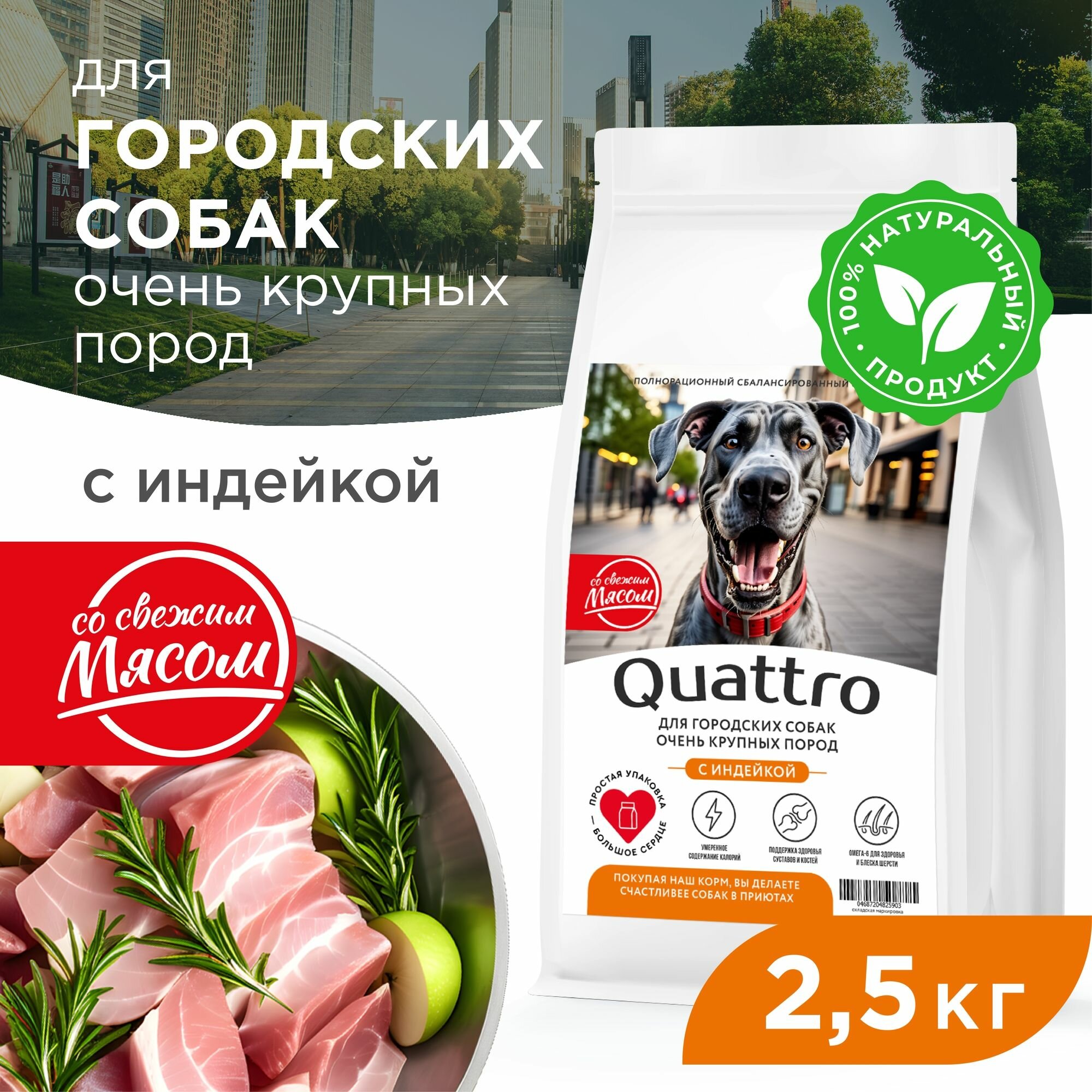 Корм сухой для взрослых собак очень крупных пород, премиум полнорационный комплекс, для городских собак, с индейкой, 2,5 кг, QUATTRO