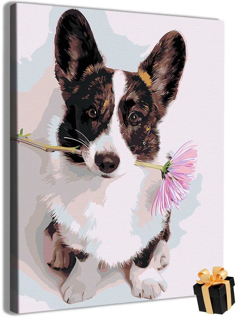 Картины по номерам Корги