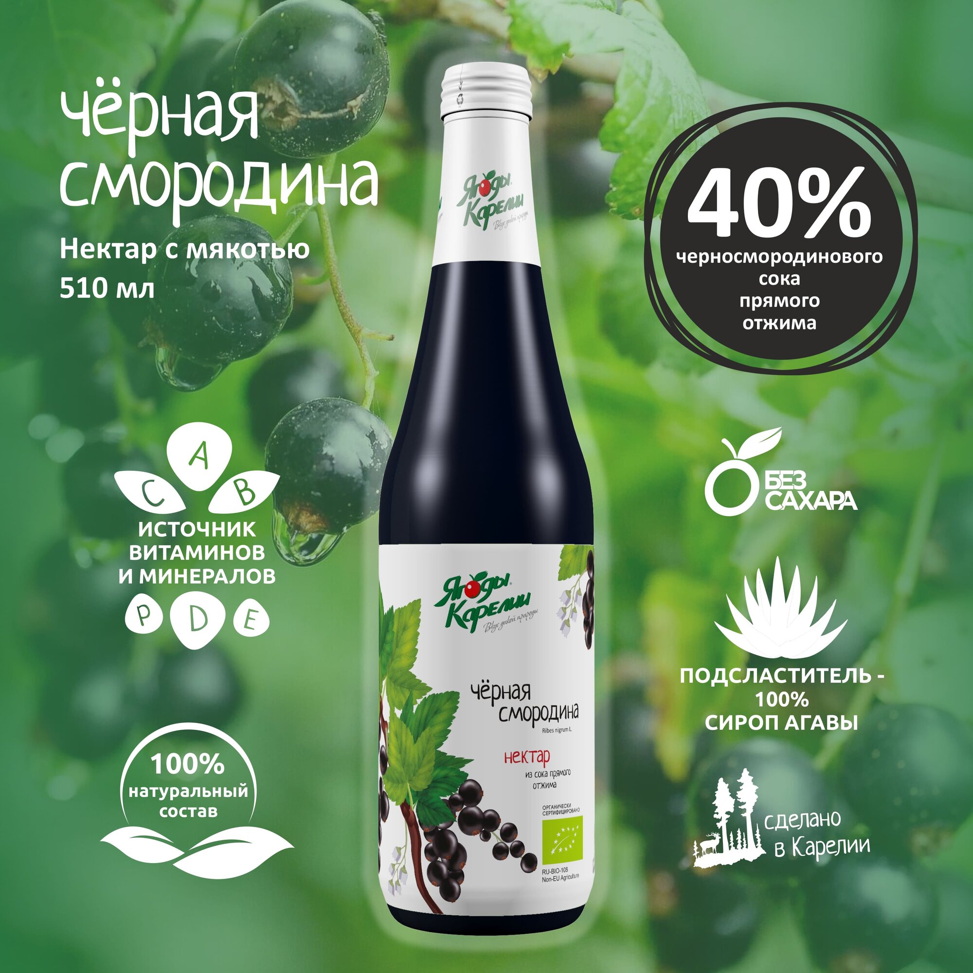 Нектар Смородина чёрная без сахара, 510мл (12 шт.)