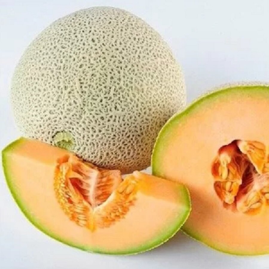 Семена Deodar SEEDS COMPANY Дыня Джамбо 10 шт.