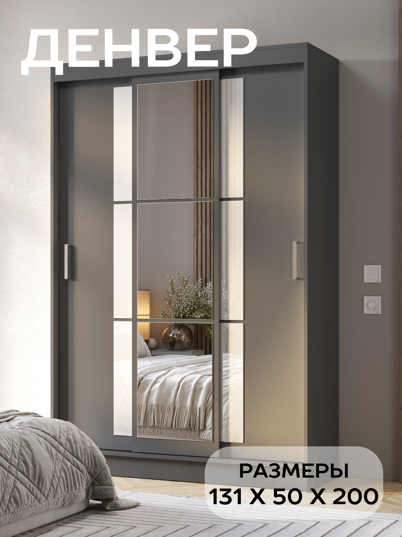 Шкаф-купе для одежды с зеркалом БТС Мебель Денвер ШКК-03 цвет графит серый