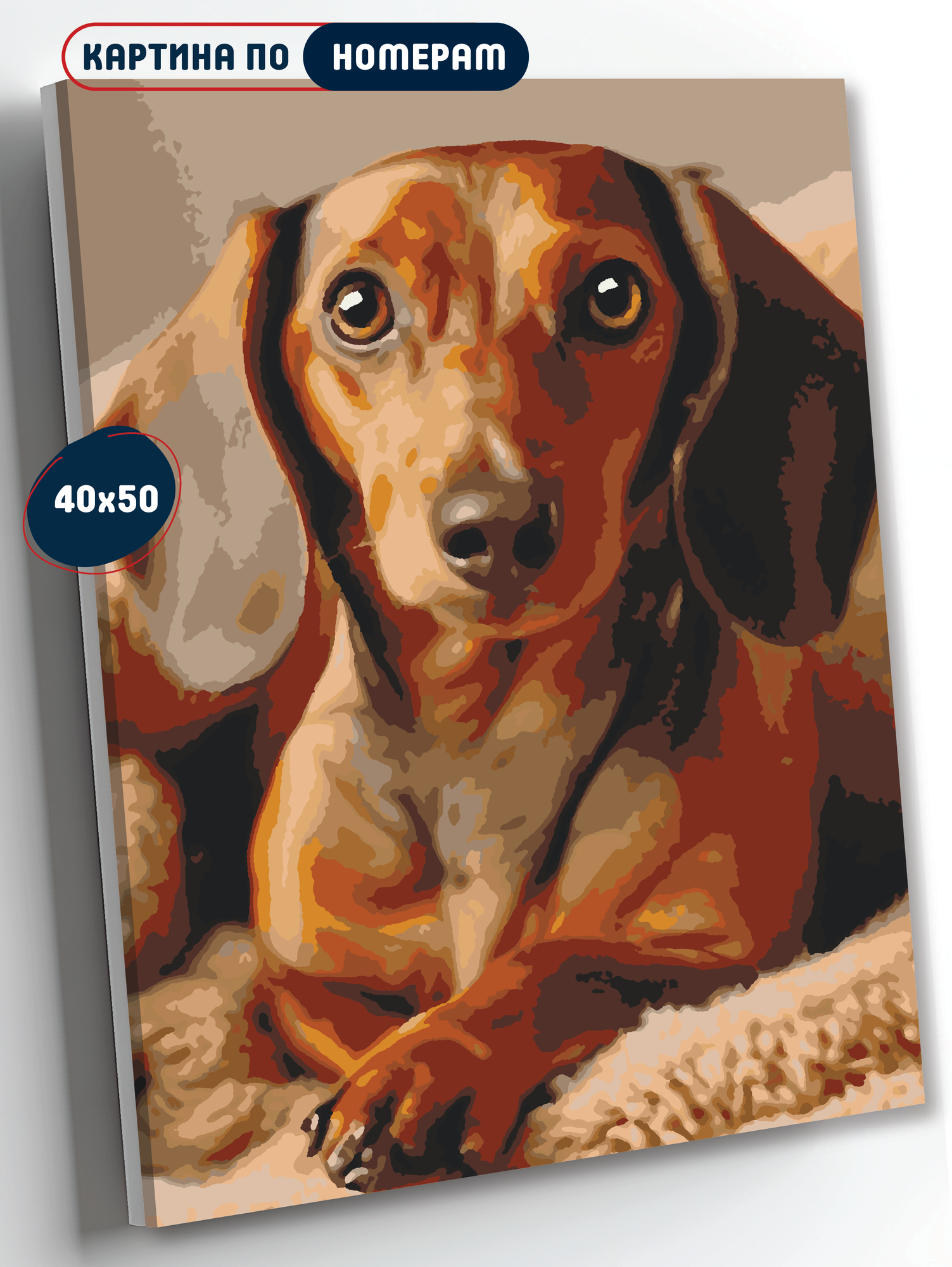 Картина по номерам "Такса", Холст на подрамнике 40х50, набор для рисования, с животными