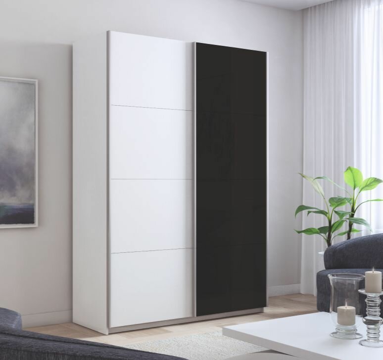 Шкаф-купе Билли 2-х дверный, (ДСП/Стекло черн.) 120х57х230 см. Белый снег