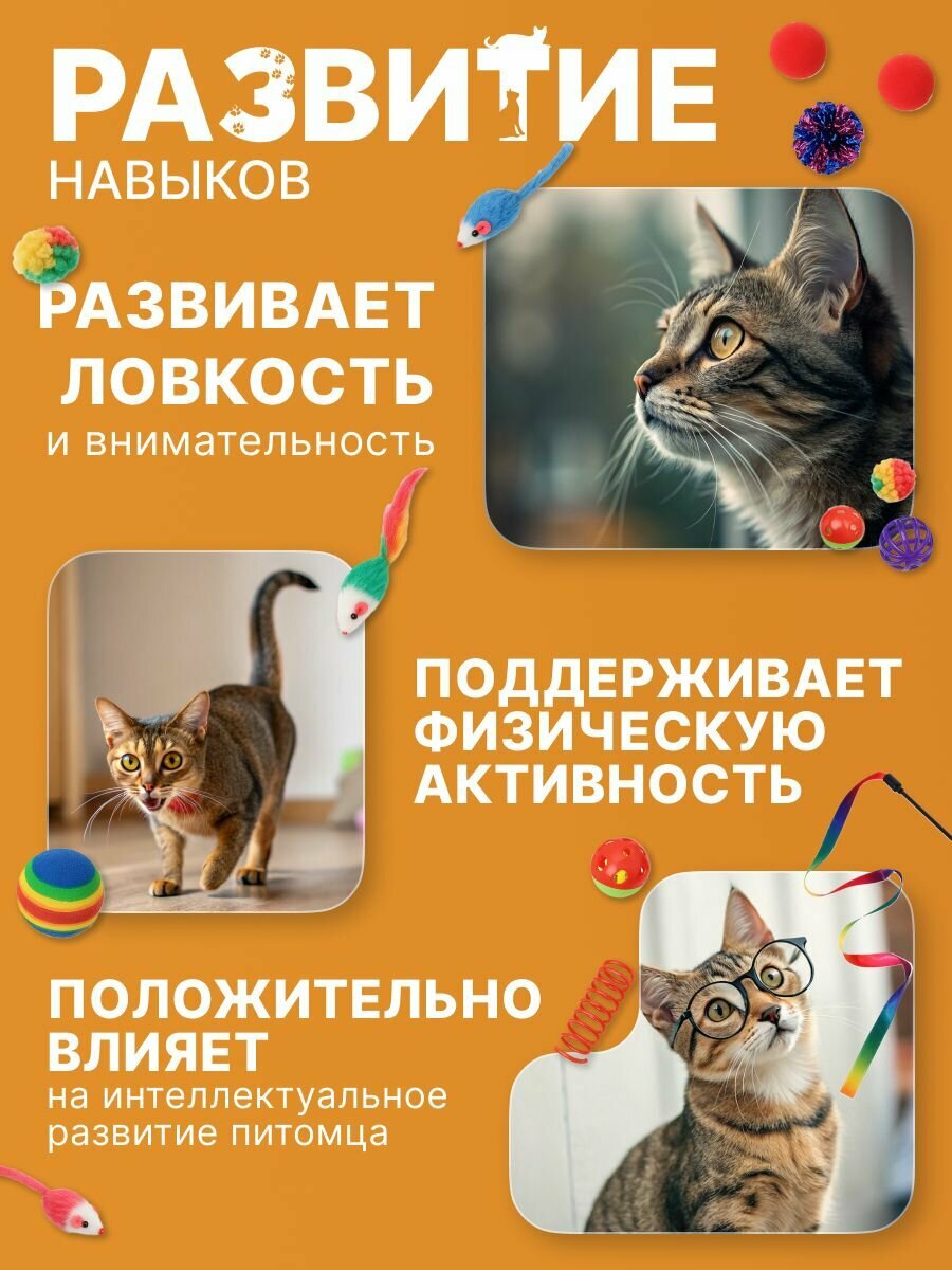 Игровой тоннель для кошек складной, радужный, 80-120 см, для активных игр и отдыха — фото 1