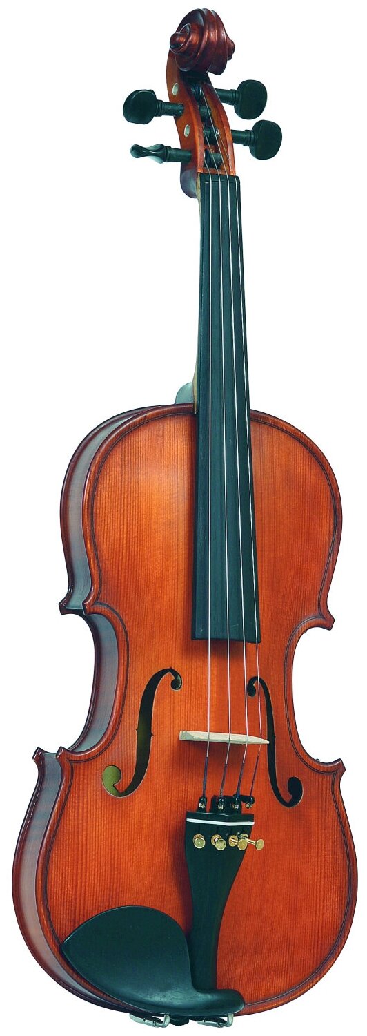 Скрипка Gliga Genial1 S-V034