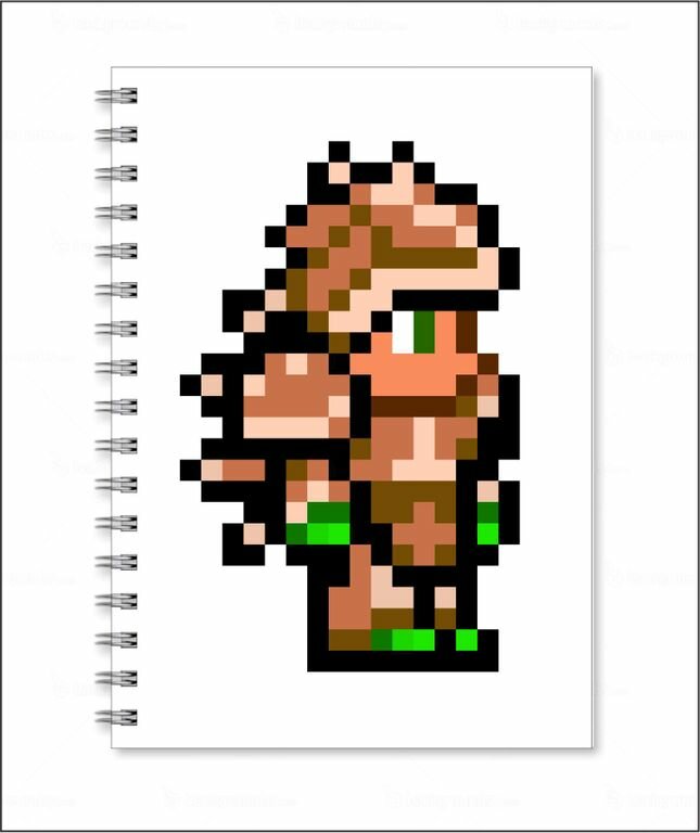 Тетрадь Terraria, Террария №6, А6