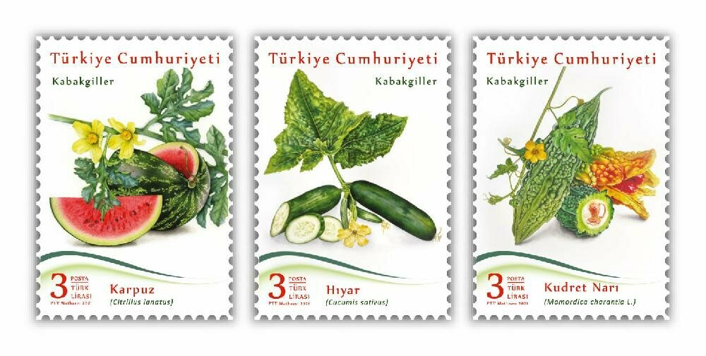 Почтовые марки Турция 2021г. "Тыква" Овощи MNH