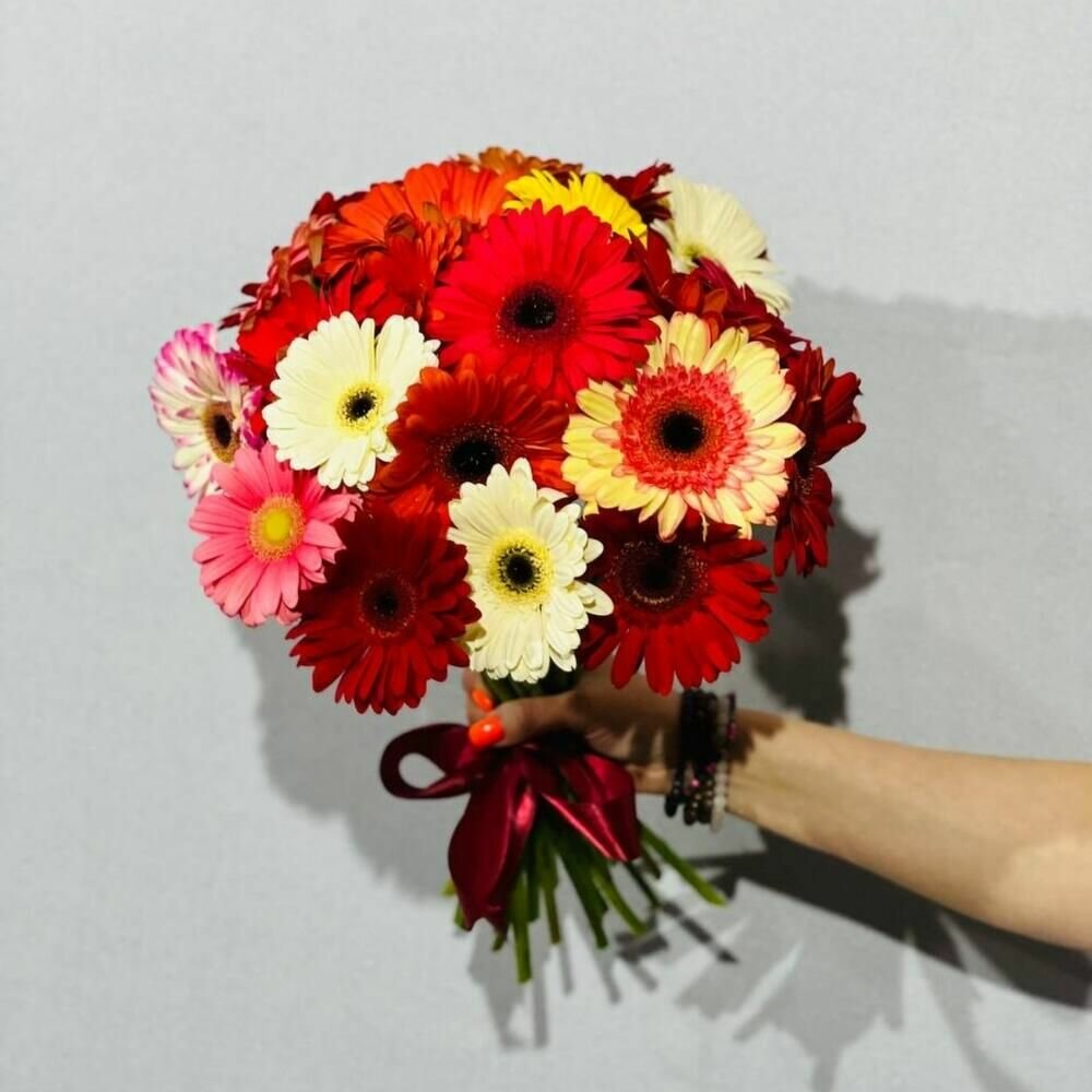 25 разноцветных гербер