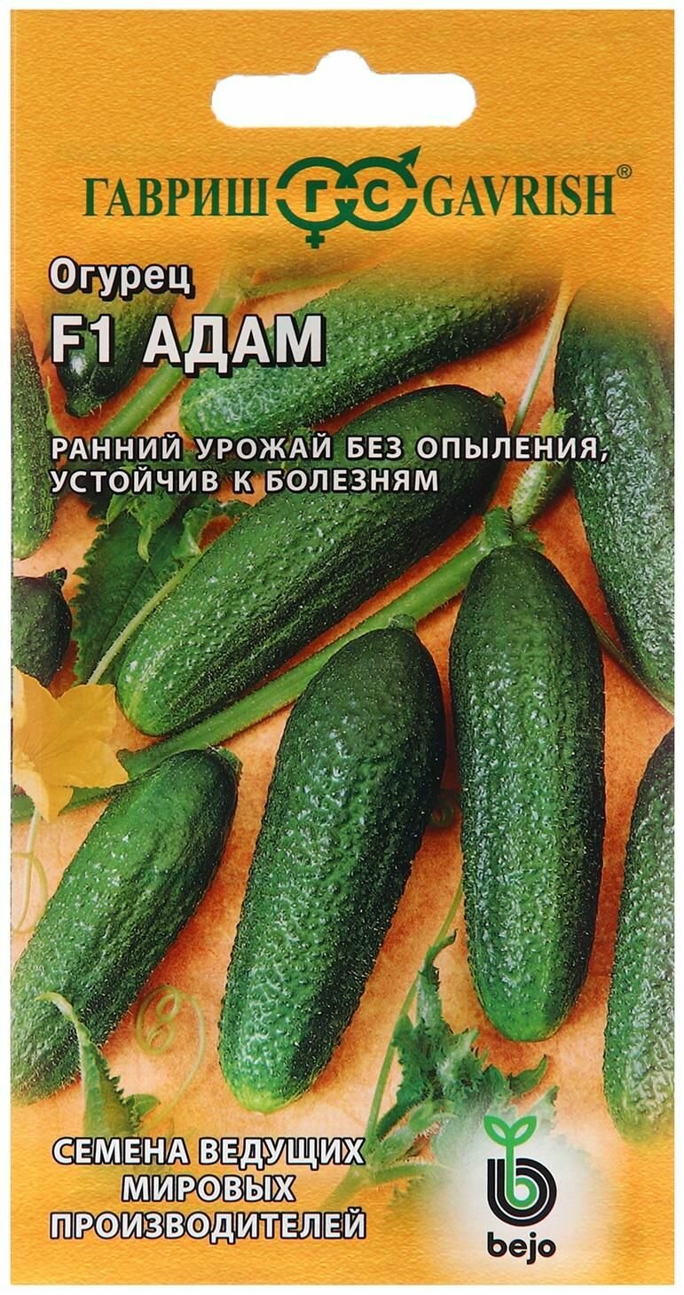 Семена Огурец "Адам", F1, 5 шт.