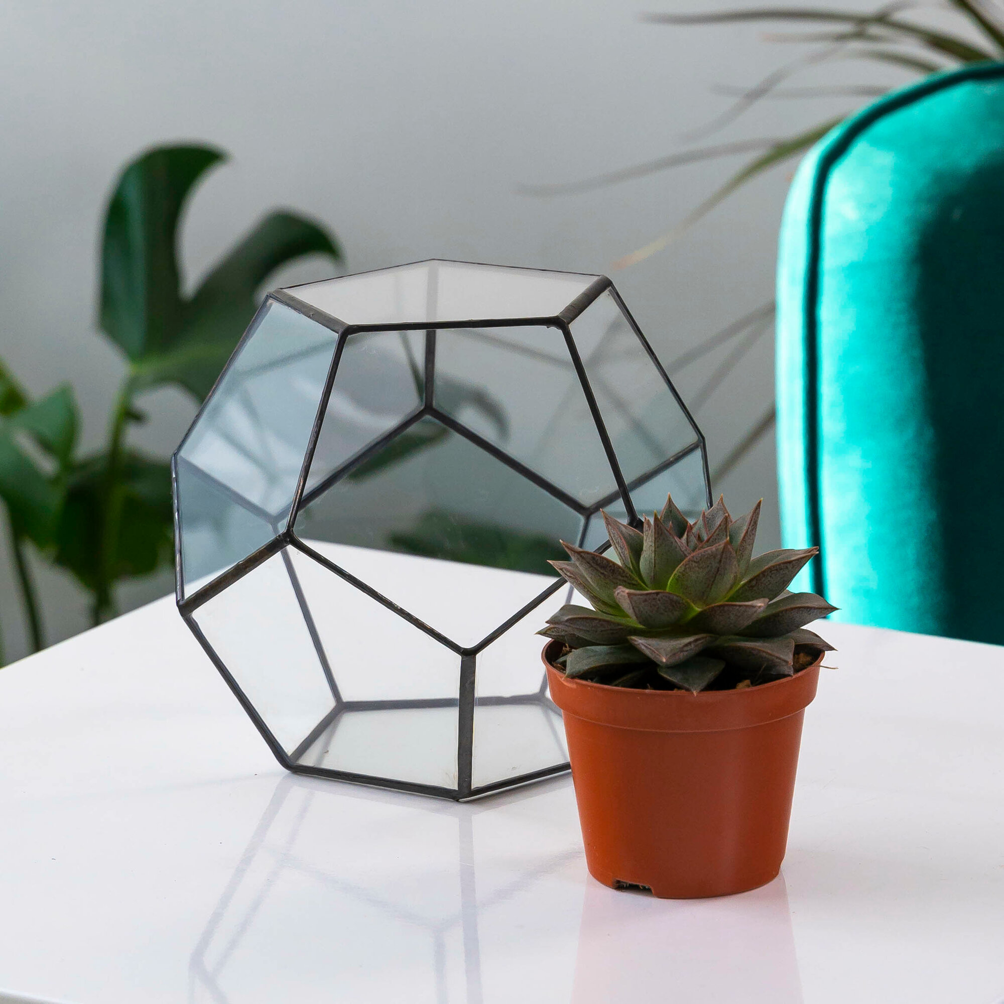 Набор для создания флорариума