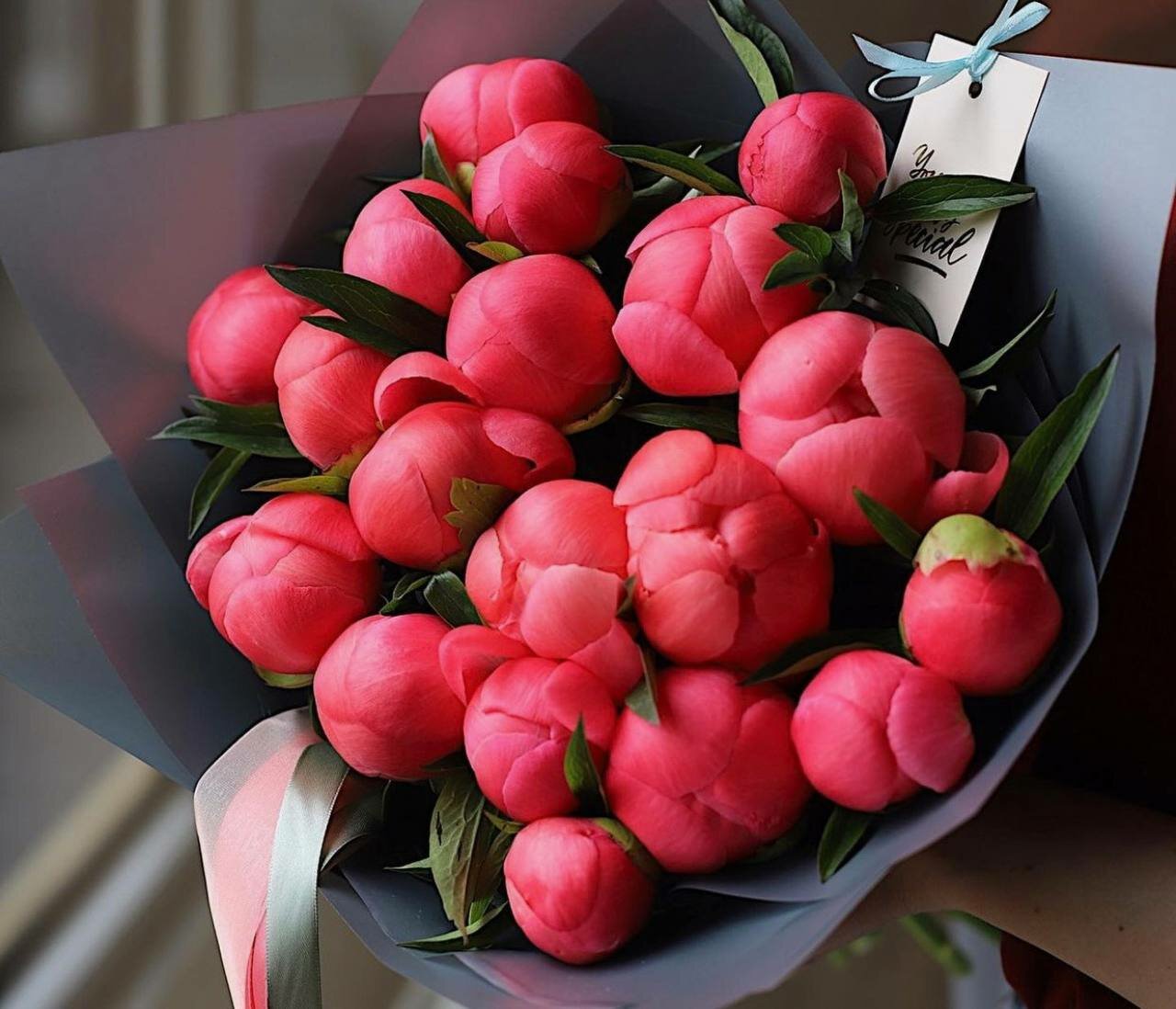 Премиум букет из коралловых пионов, премиум цветы, шикарный, красивый букет цветов, пионы.