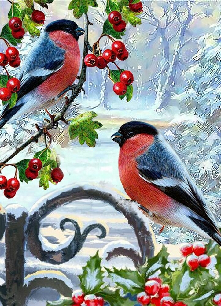 Алмазная мозаика на подрамнике / Картина стразами "Снегири" 40х50 , сложность 5, цветов 20, Komas