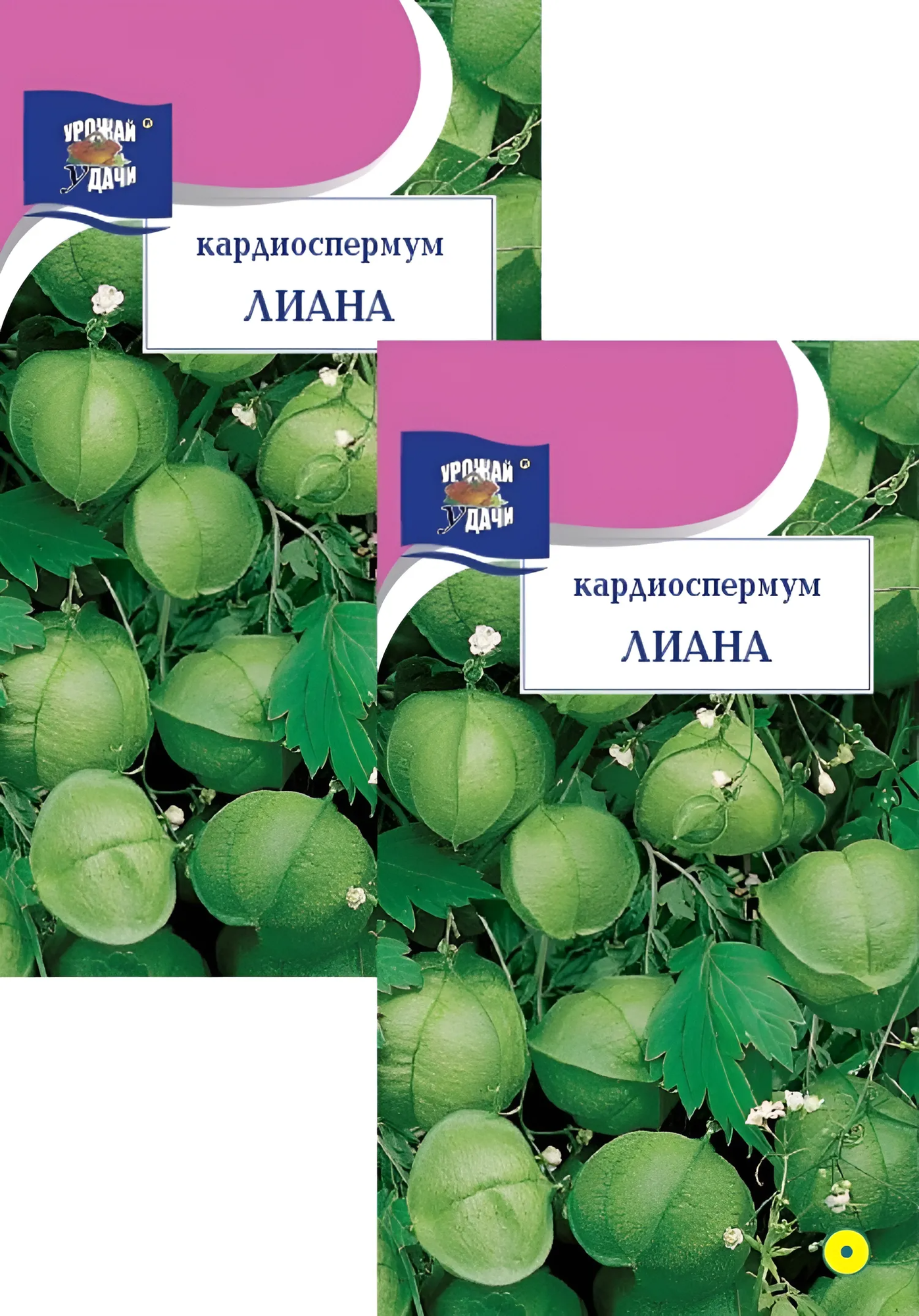 Семена Кардиоспермум лиана (0,3 г), 2 пакета, "Урожай Удачи"
