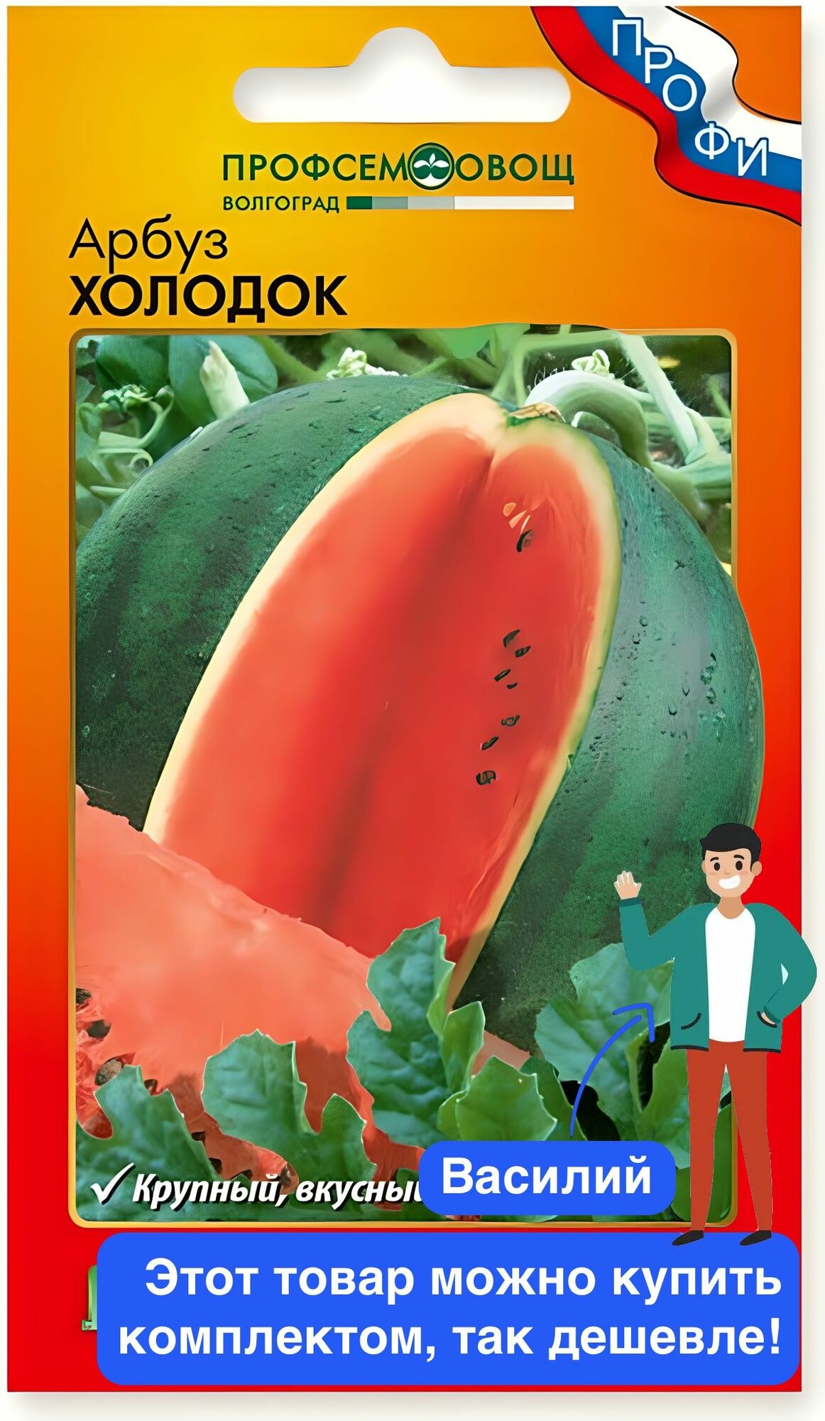 Семена овощей Русский Огород "Арбуз Холодок", О. Ю, 1 гр.