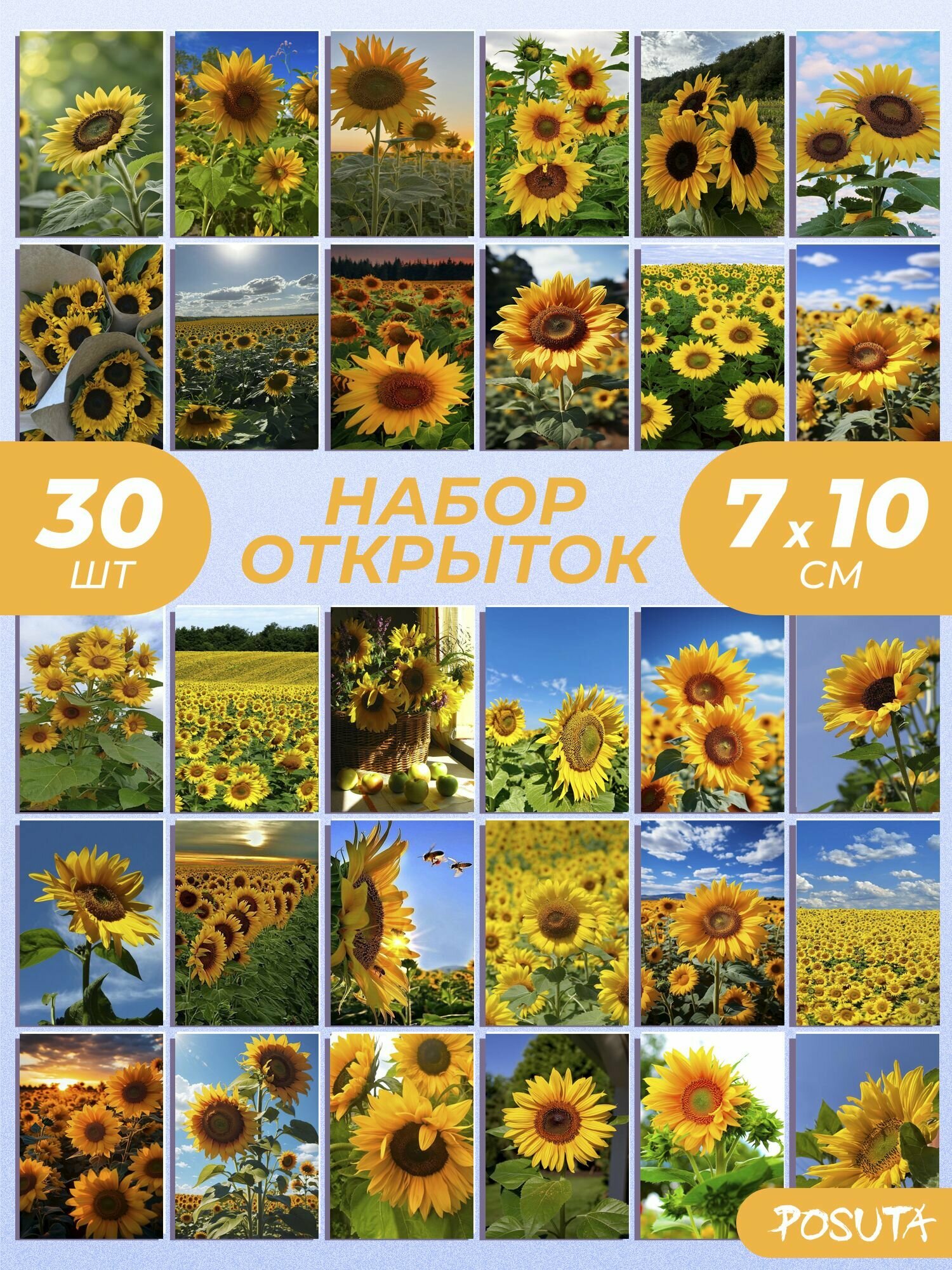 Набор открыток подсолнухи