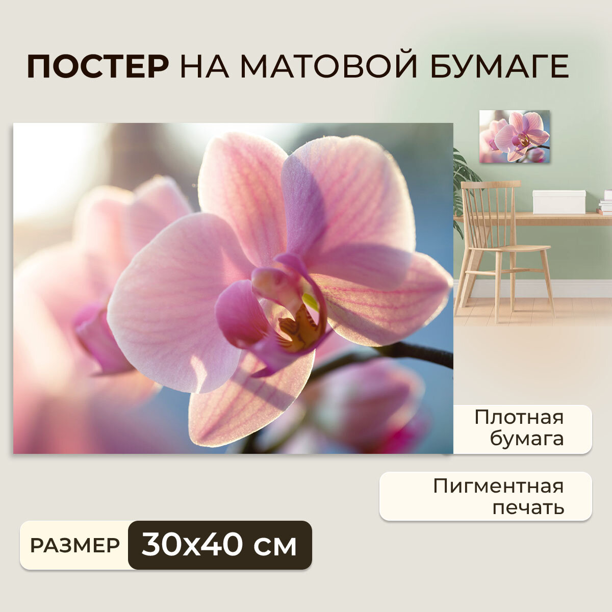 Постер цветы на бумаге / Orchid / Орхидеи