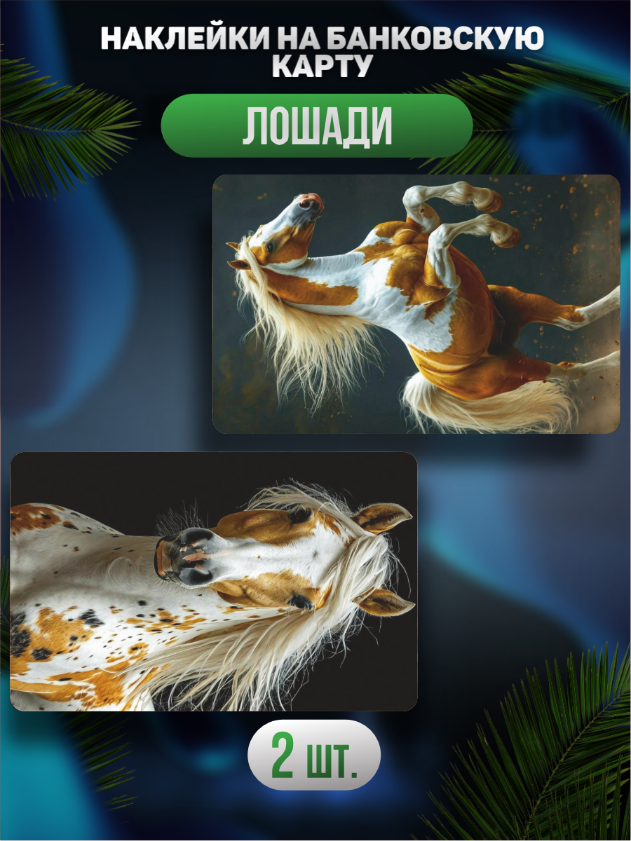 Наклейка на карту Лошади Конный спорт