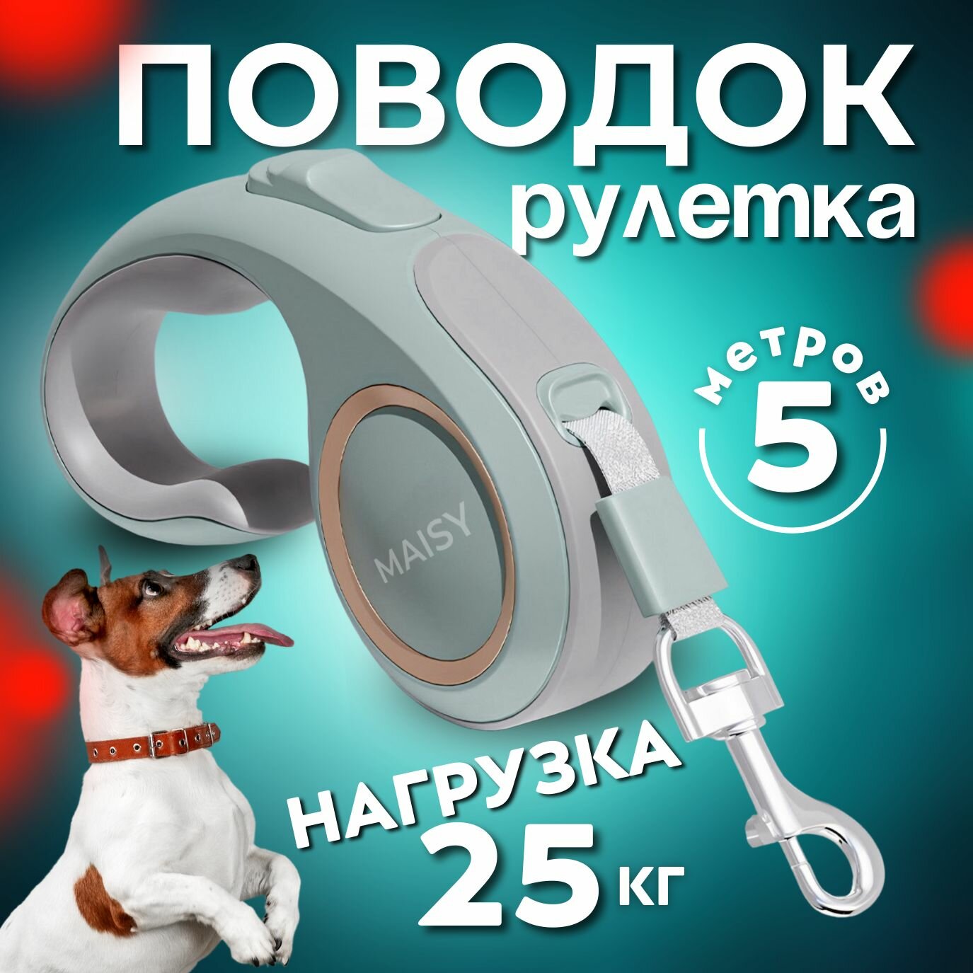 Поводок