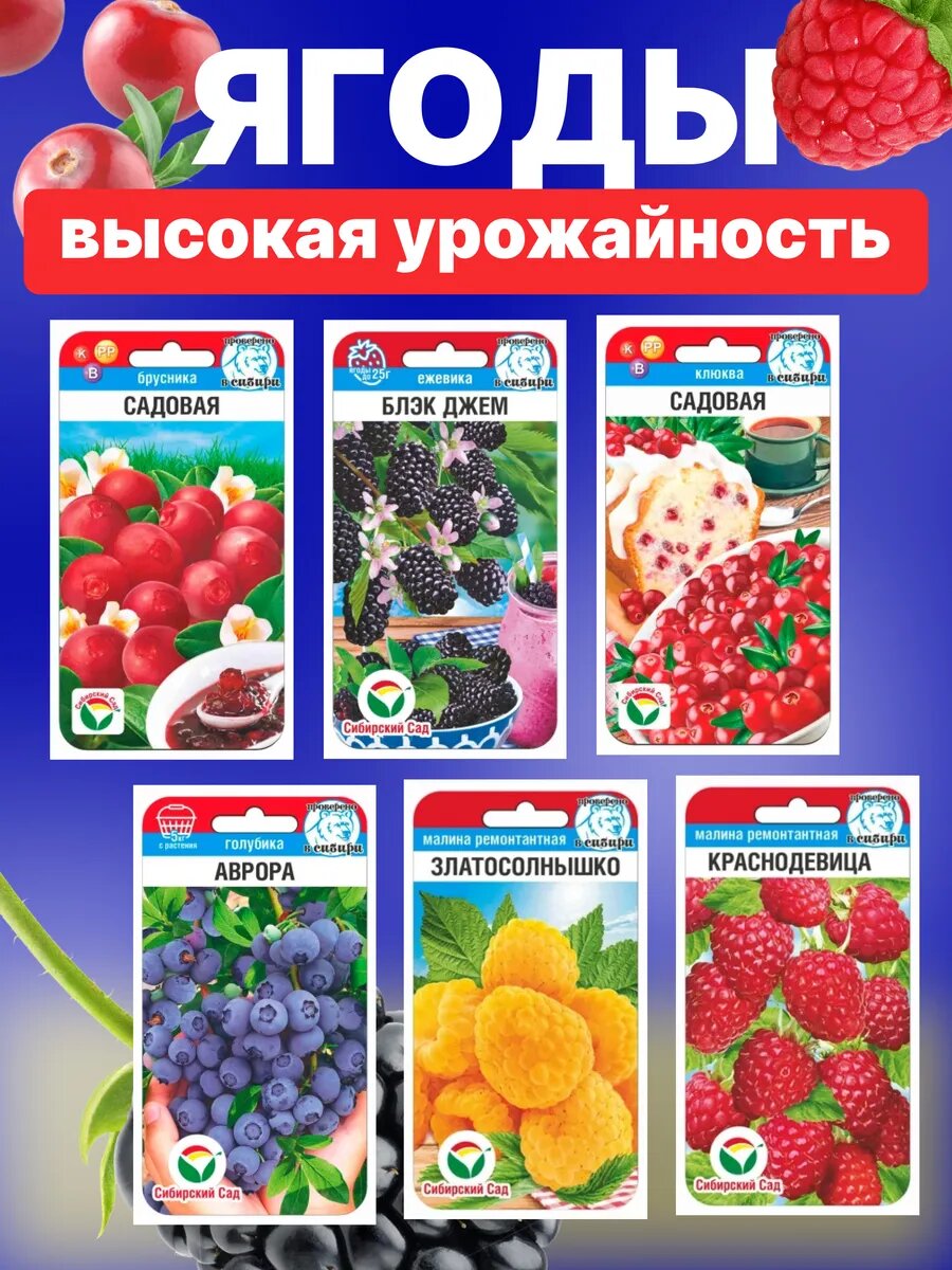 Семена ягод садовых набор 6 упаковок по 10шт.