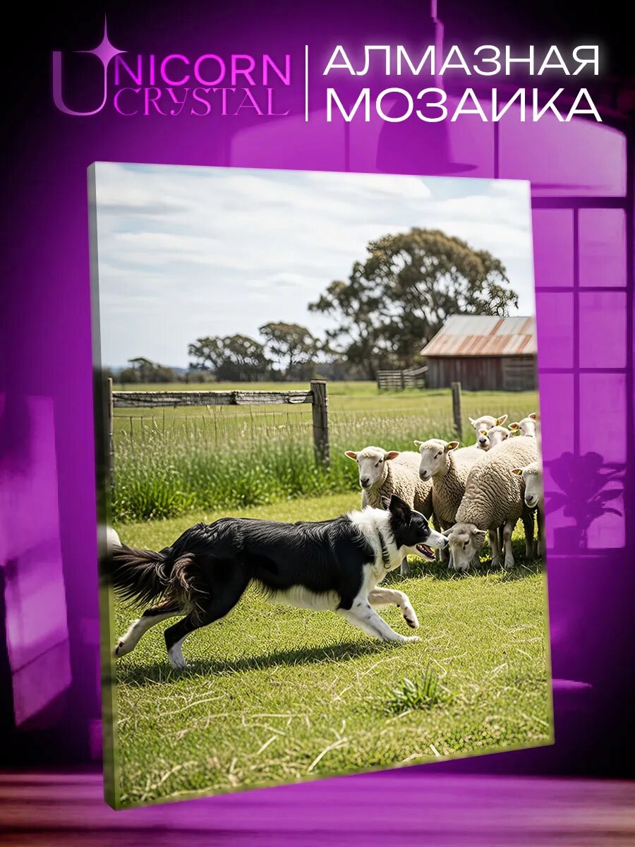 Алмазная мозаика Собака