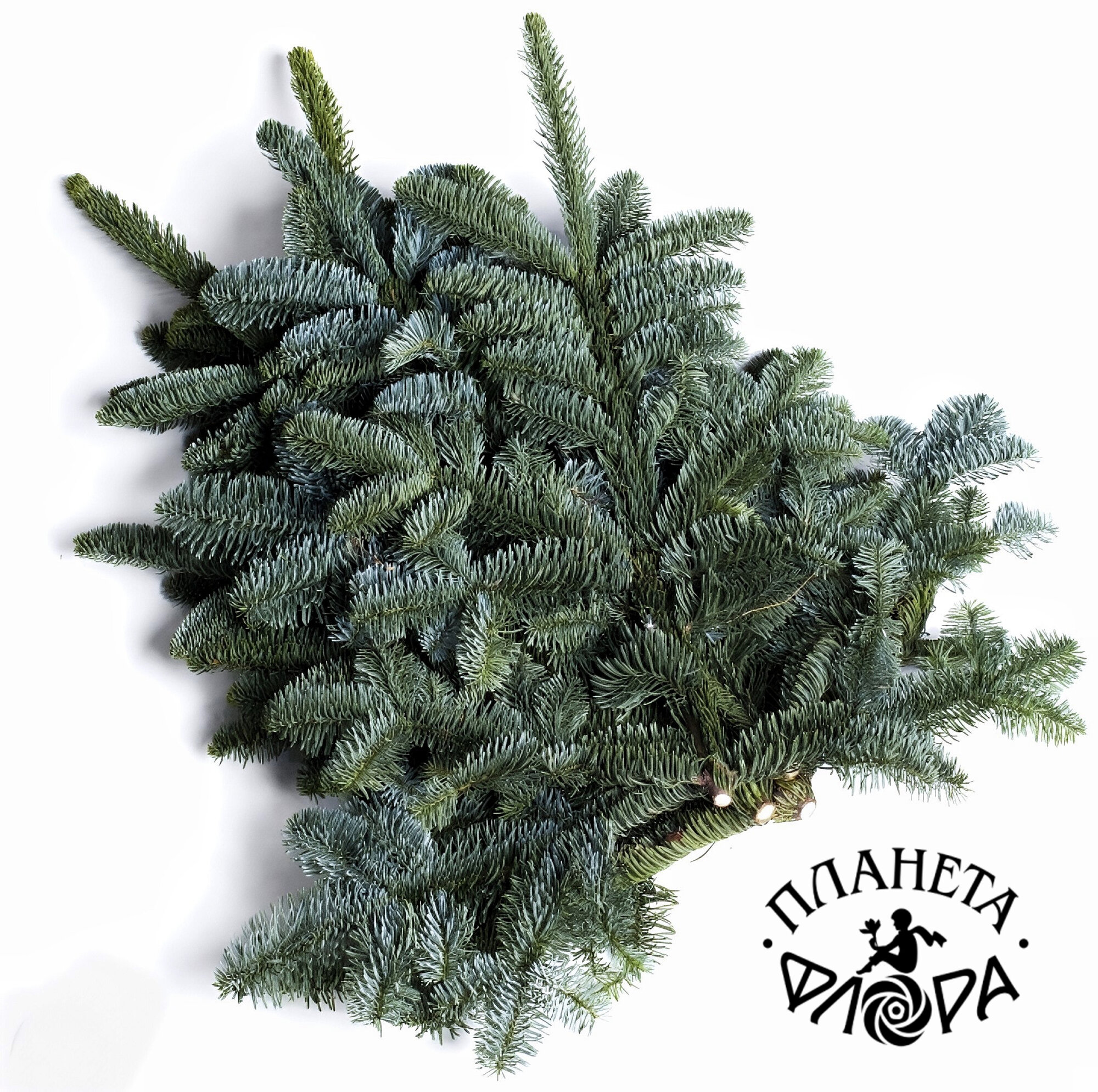 Нобилис 1 банч, Нобилис, Нобилис 5 кг, Новогодние ветки нобилис